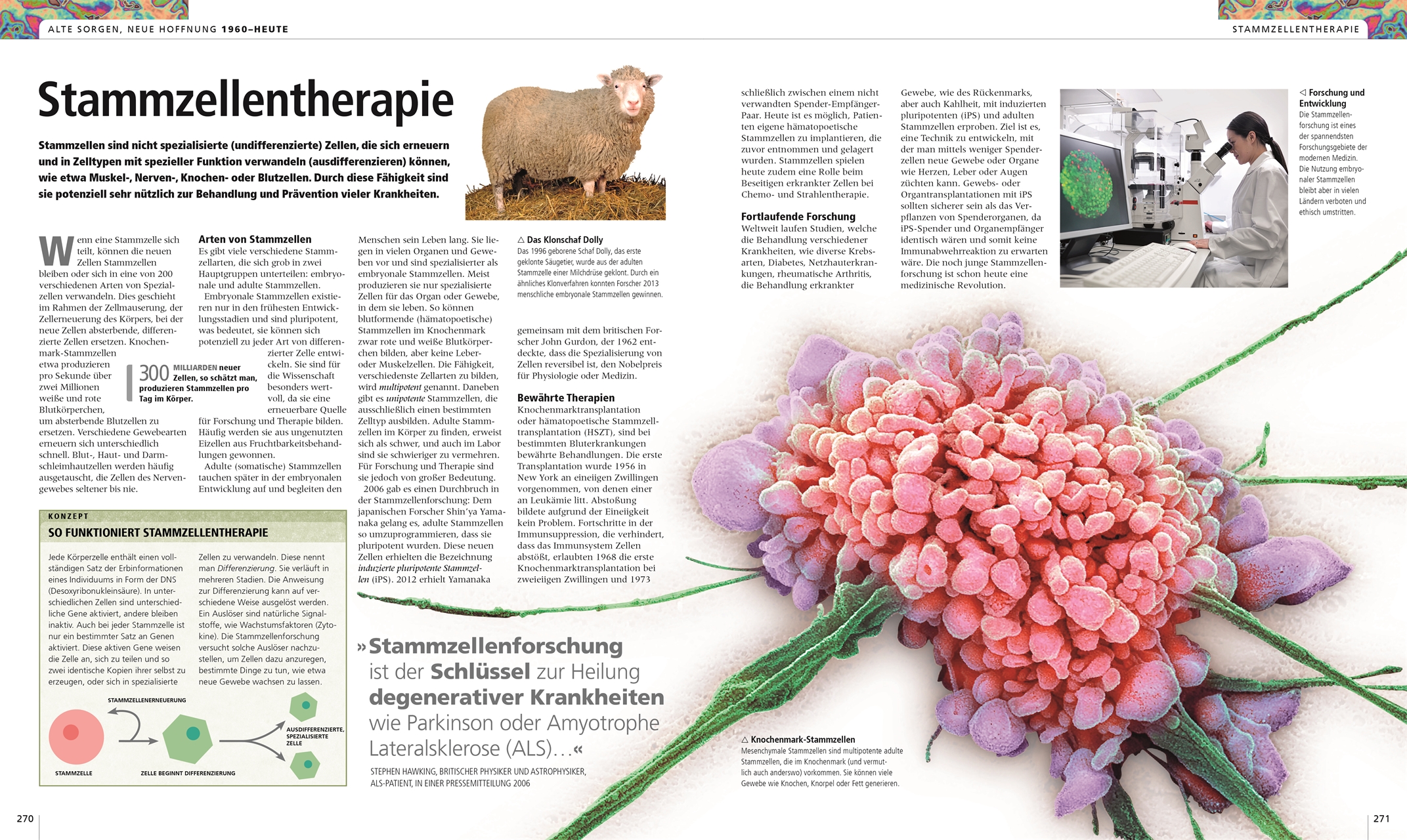 Medizin | DK Verlag