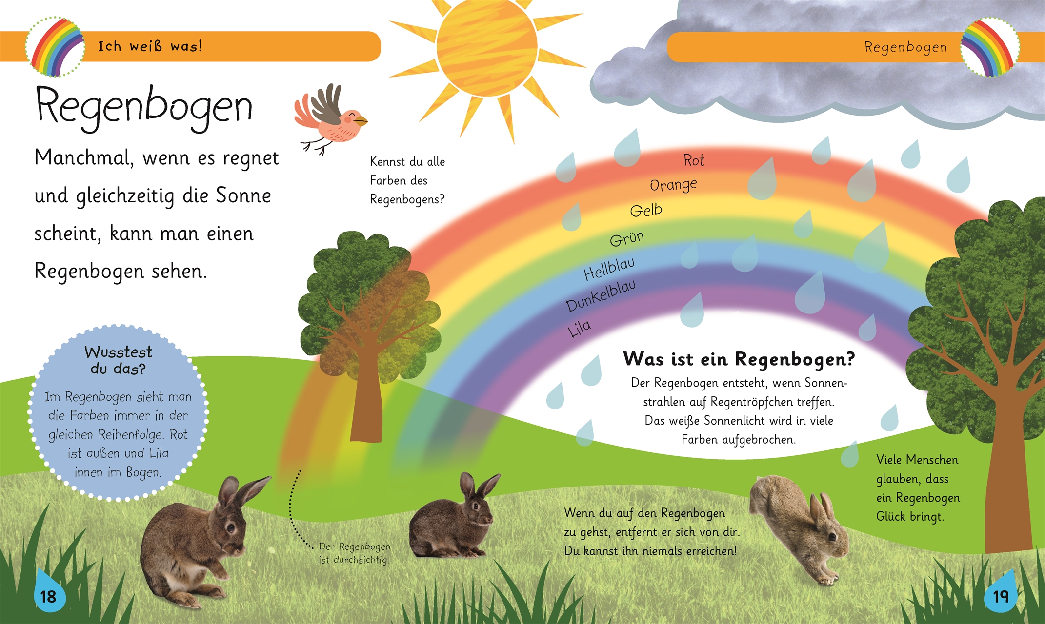 Wie entsteht ein Regenbogen? | DK Verlag Wie entsteht ein Regenbogen? | DK Verlag
